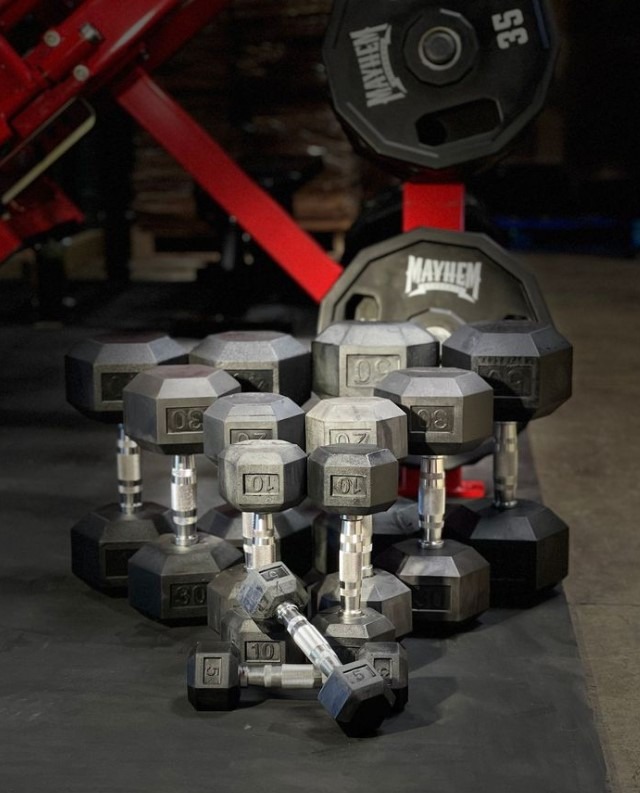 Free Weights - Gym Bro Fitness